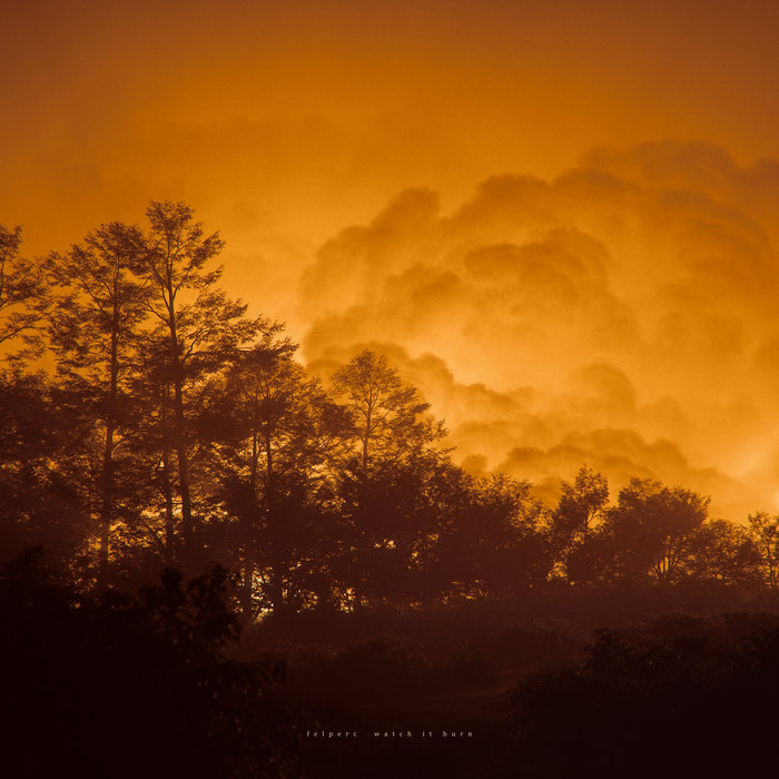 watch it burn | felperc