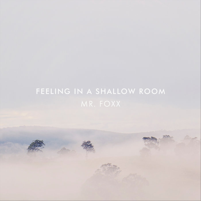 Feeling in a Shallow Room | Mr. Foxx