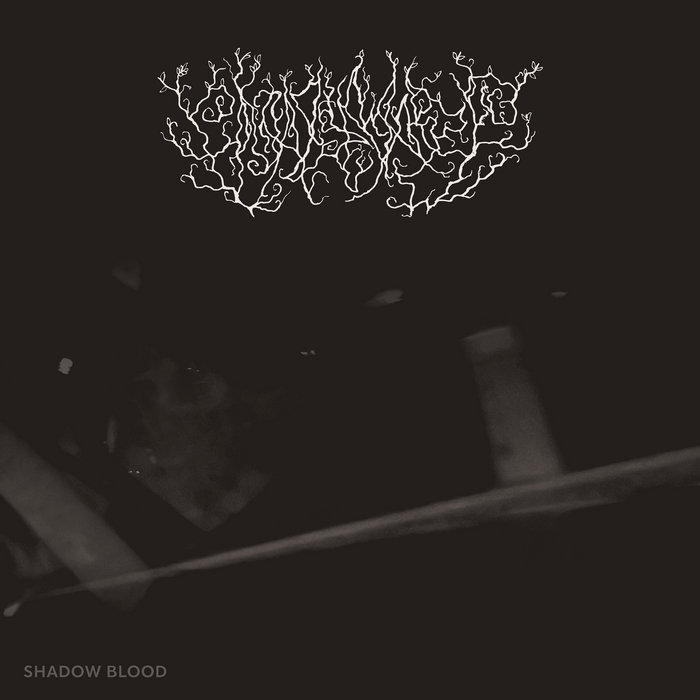 Shadow Blood | Final Maze