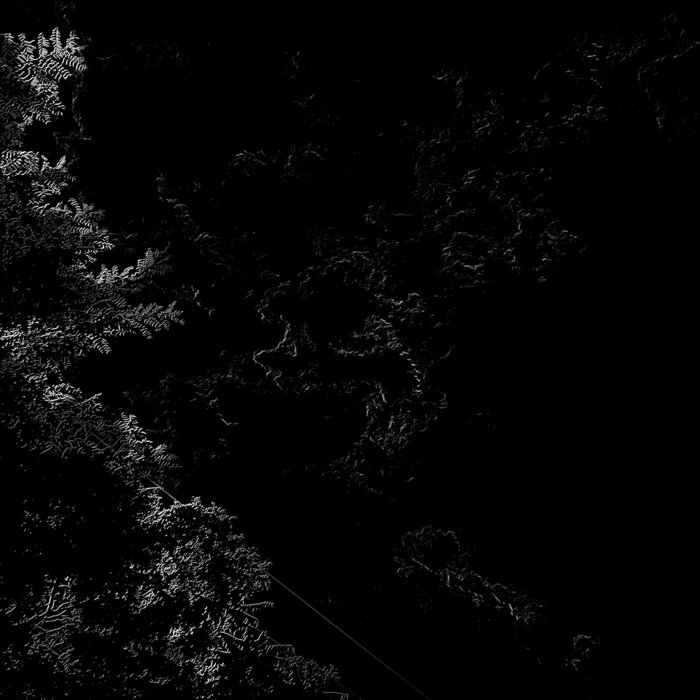 Liminal Beyond | Third Eye Mutilation