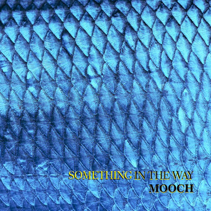 Something In The Way (Single) | MOOCH