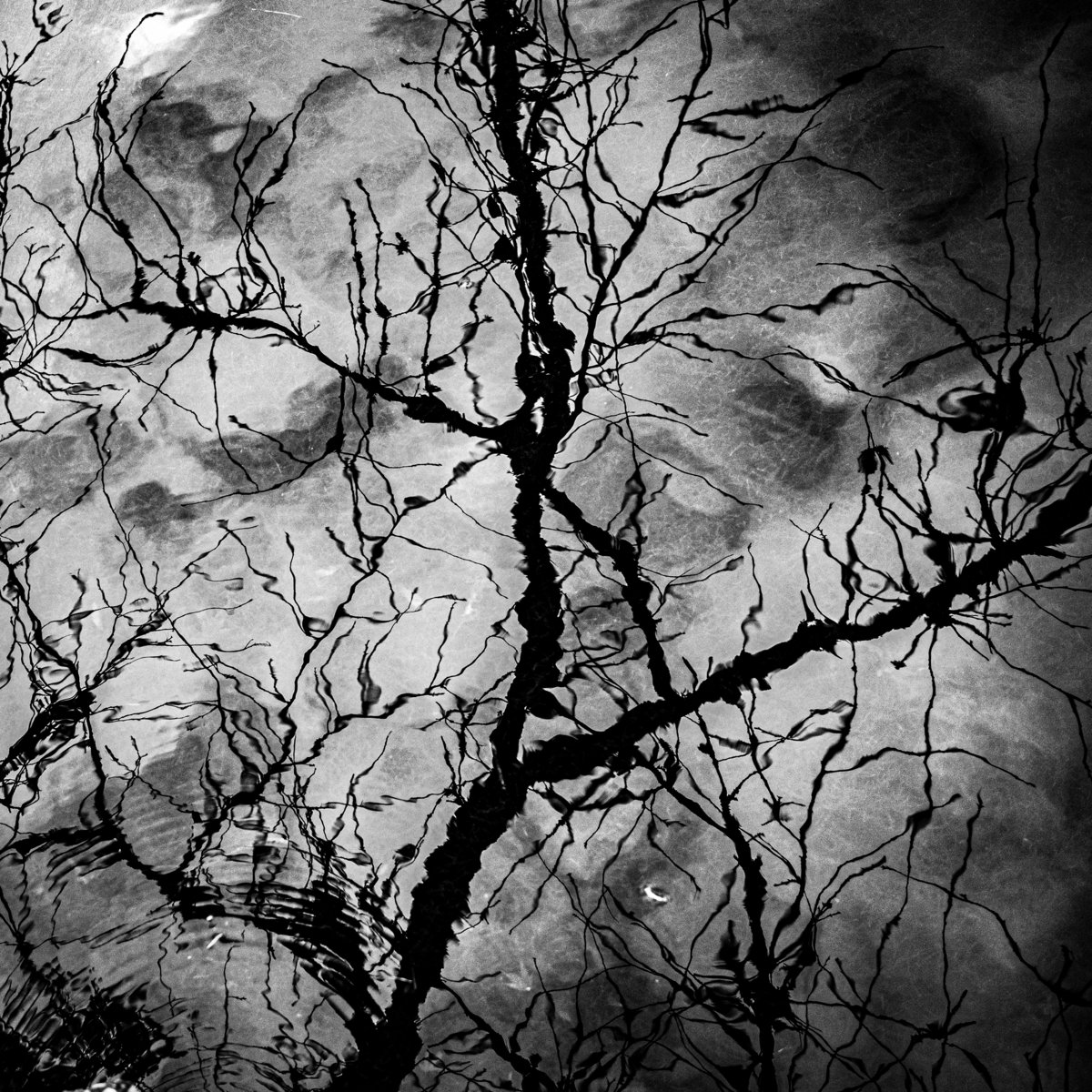 Permafrost | Daniel Menche