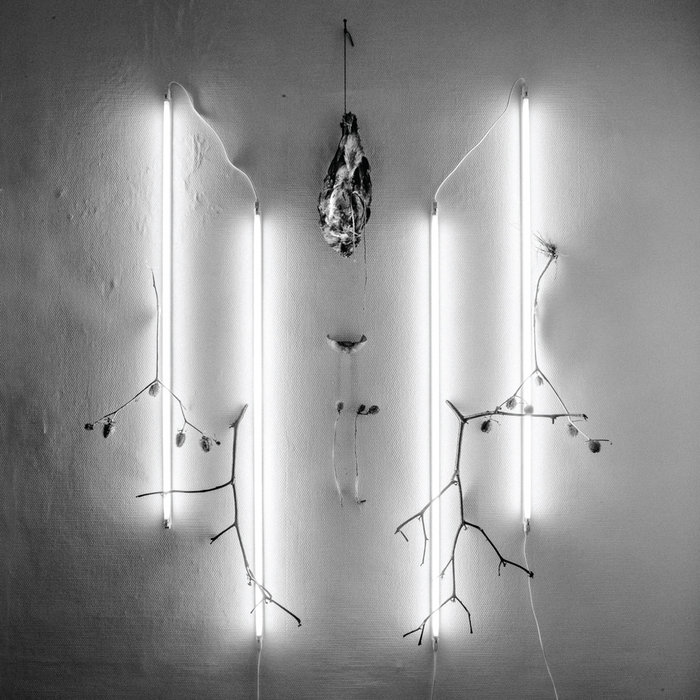 The Abyss Stares Back | Alkerdeel