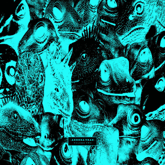 Akeera Trax Vol. 2 | DJ Akeera | inkke