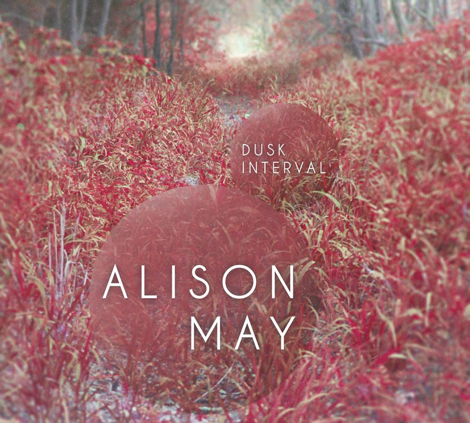 Dusk Interval | Alison May