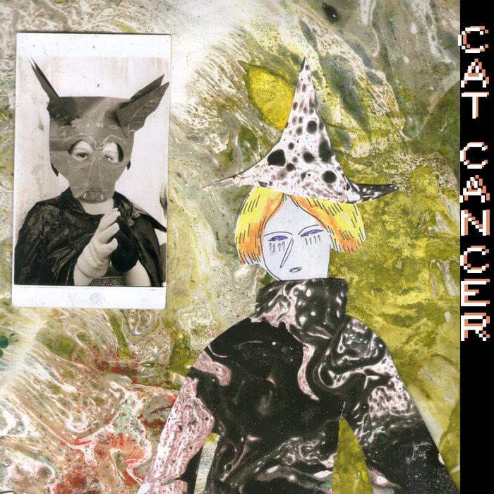 tumordegatoposting | cat cancer