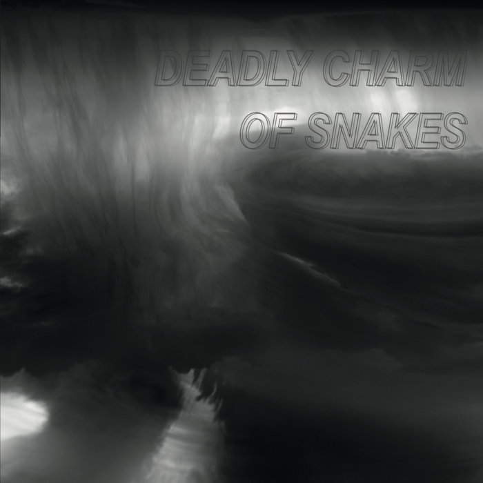 Deadly Charm of Snakes | Wojciech Puś