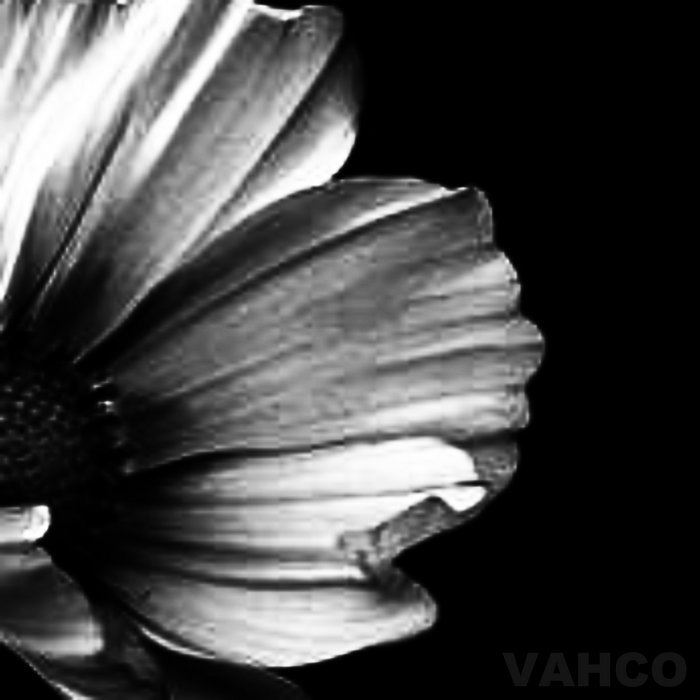 This Time (extended EP) | VAHCO