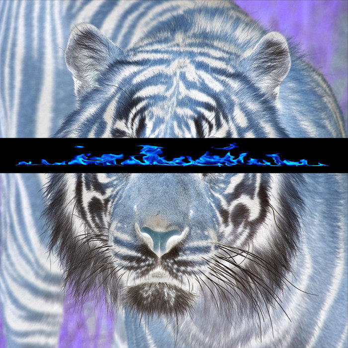 Tigers Don't Burn | NoiseArt Collective