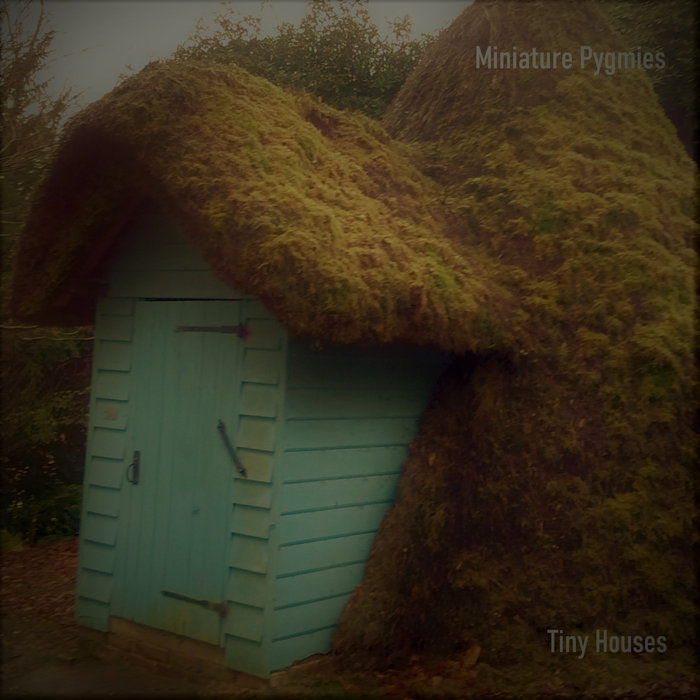 Tiny Houses | Miniature Pygmies