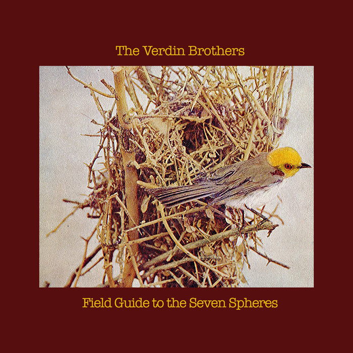 Field Guide to the Seven Spheres | Verdin Brothers