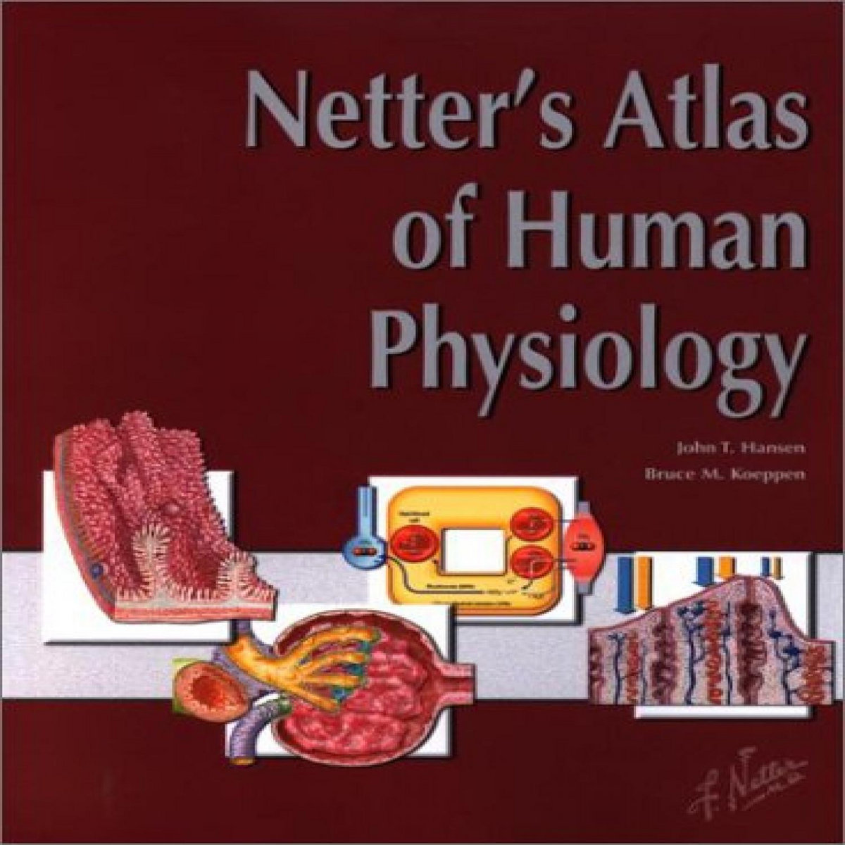 Get [KINDLE PDF EBOOK EPUB] Netter's Atlas of Human Physiology (Netter ...