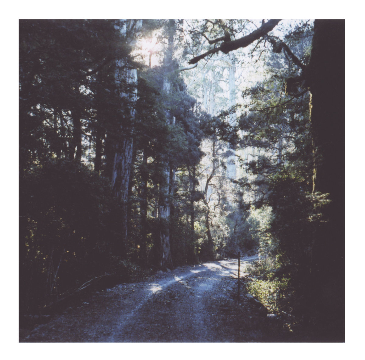 Inner Explorations II | Helyg Weidenbach | Fiadh Productions