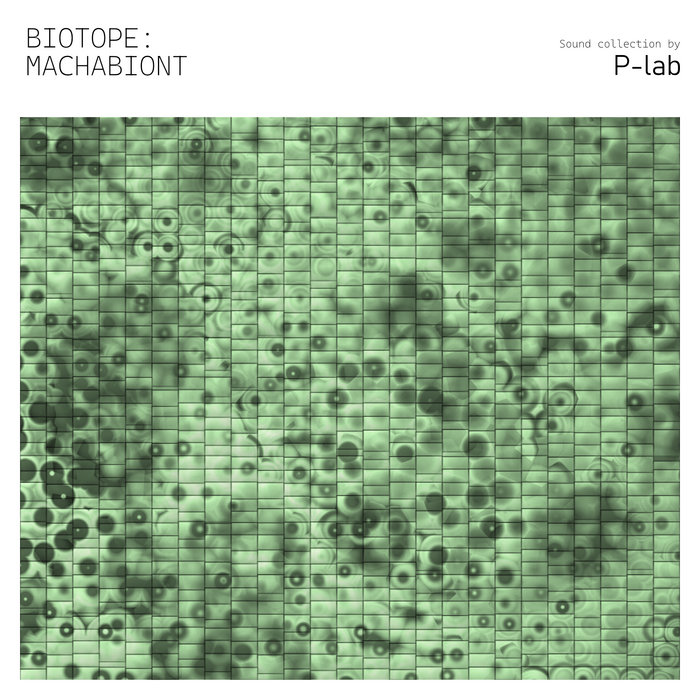 Biotope:machabiont | P-lab | Emuler Scape