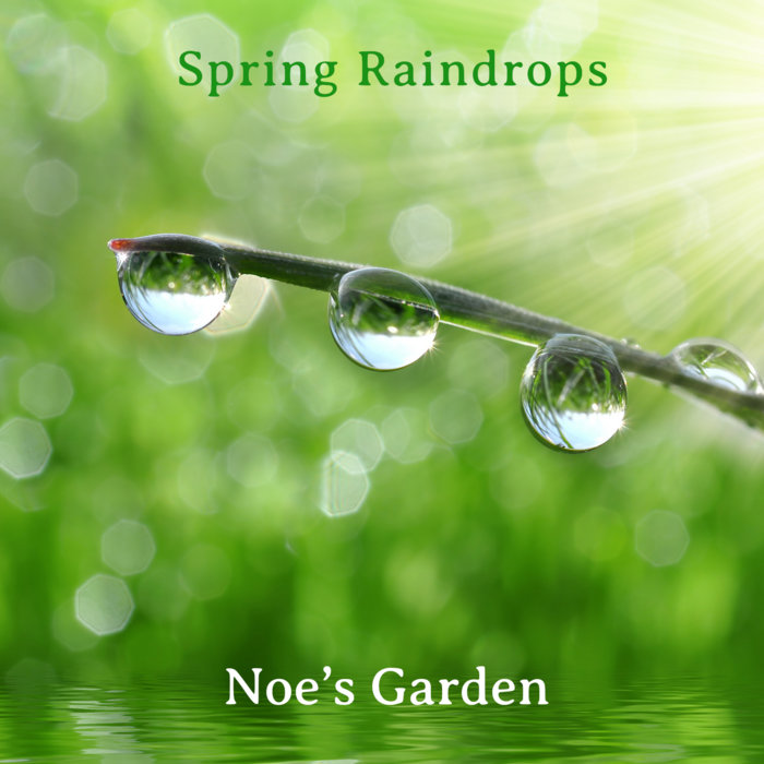 Spring Raindrops | Noe's Garden