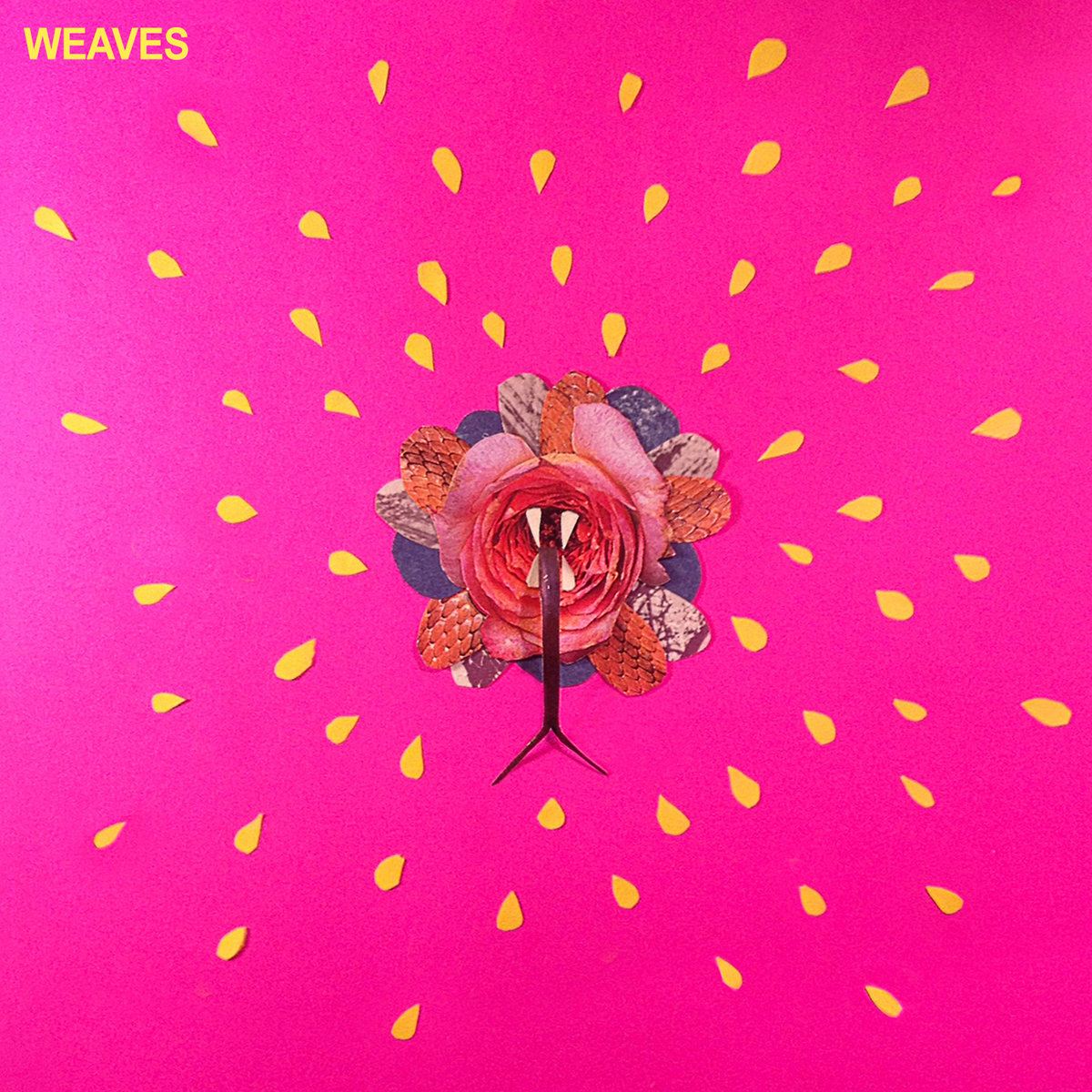 Weaves (EP) | Weaves | buzz records