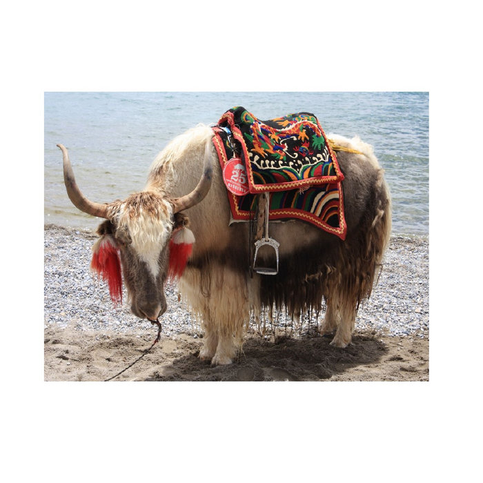 Sea Kayak Hit Single | Atomic Leaf