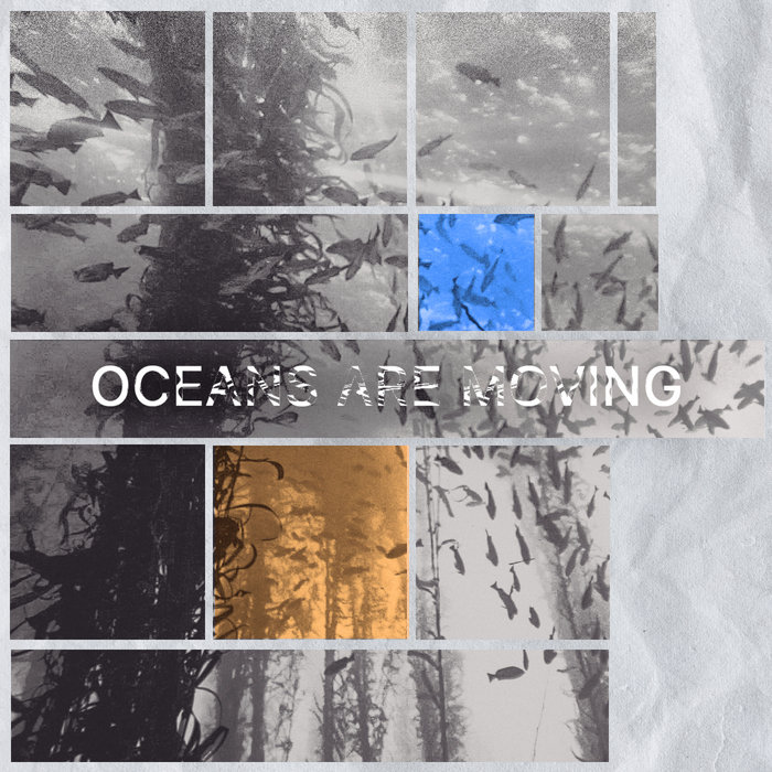 Oceans are moving | Tim Jackman