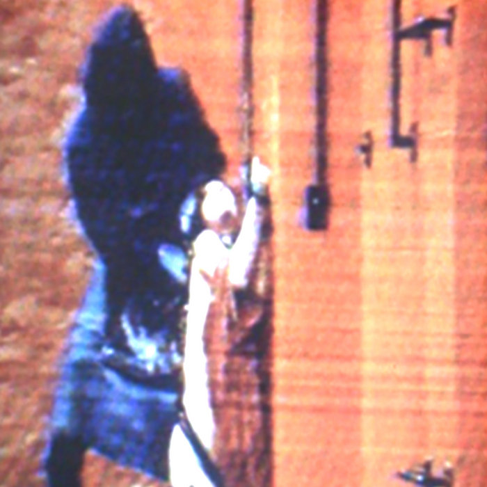 Radio / Cha Cha / "...and horses lay screaming" | insect woman | DJ Munga