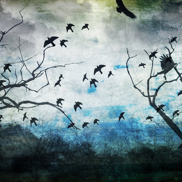 Omnipotent Entity | Illusory