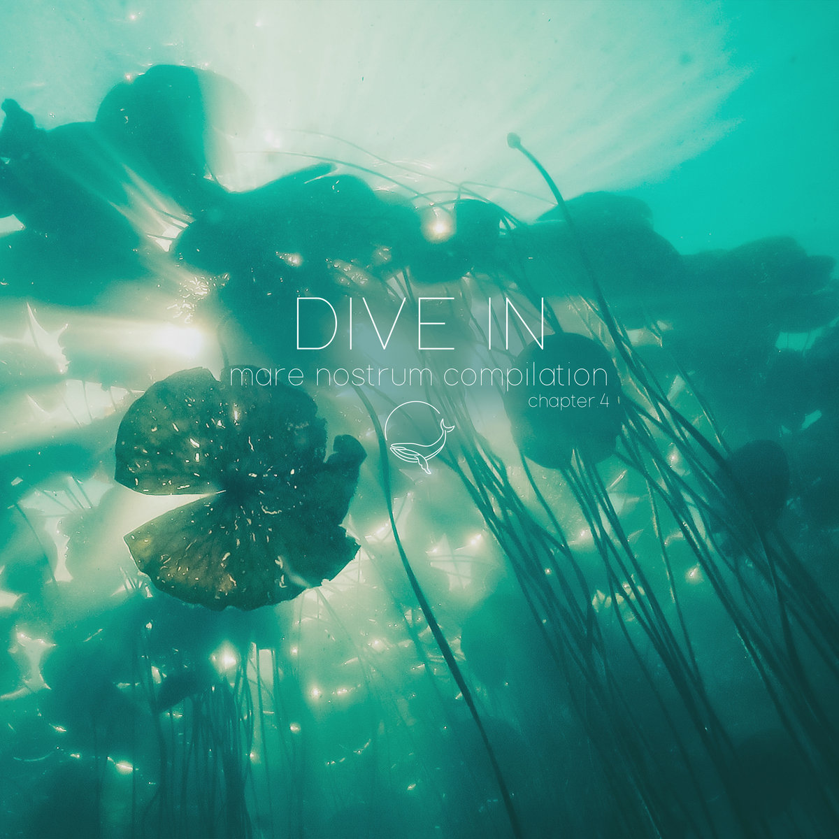 Dive In - Chapter 4 | Mare Nostrum Label