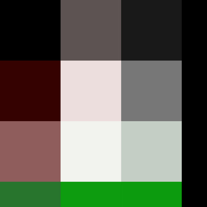 IRUSA/MSF Benefit | Various Artists | Flesh Simulator