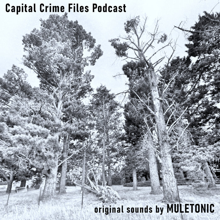 Capital Crime Files Podcast original sounds | Muletonic
