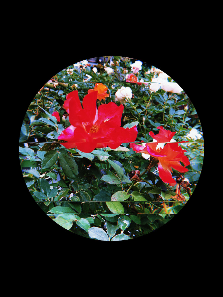 ⎄xpansion pack | Ian Fink