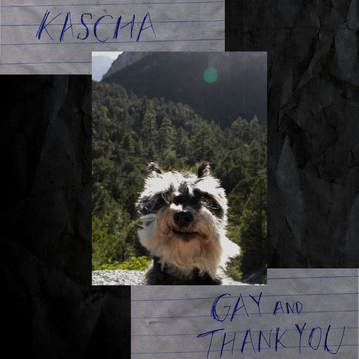 Gay and Thank You | Kascha