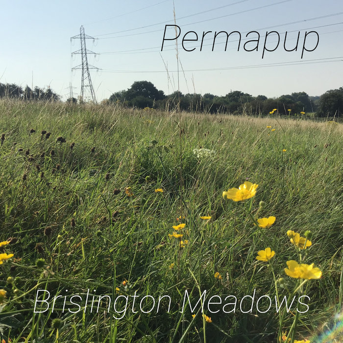Brislington Meadows | Permapup