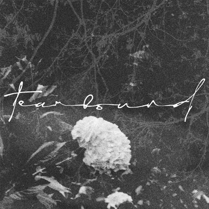An Unreachable Memory Of You (Redux) | Tearbound | Shore Dive Records