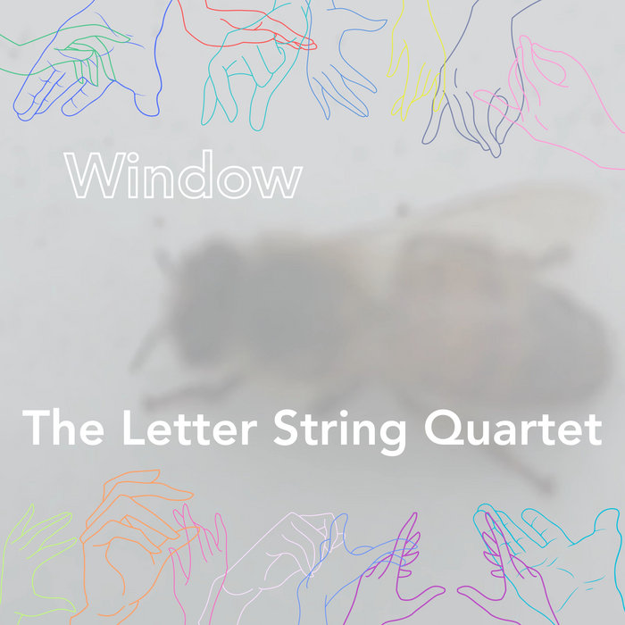 Window | The Letter String Quartet