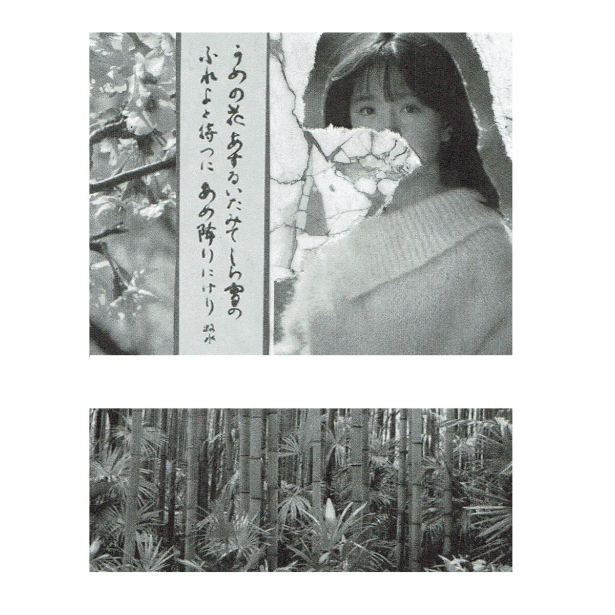 Eden's Ashes | Marble Wings | Phantom Spire