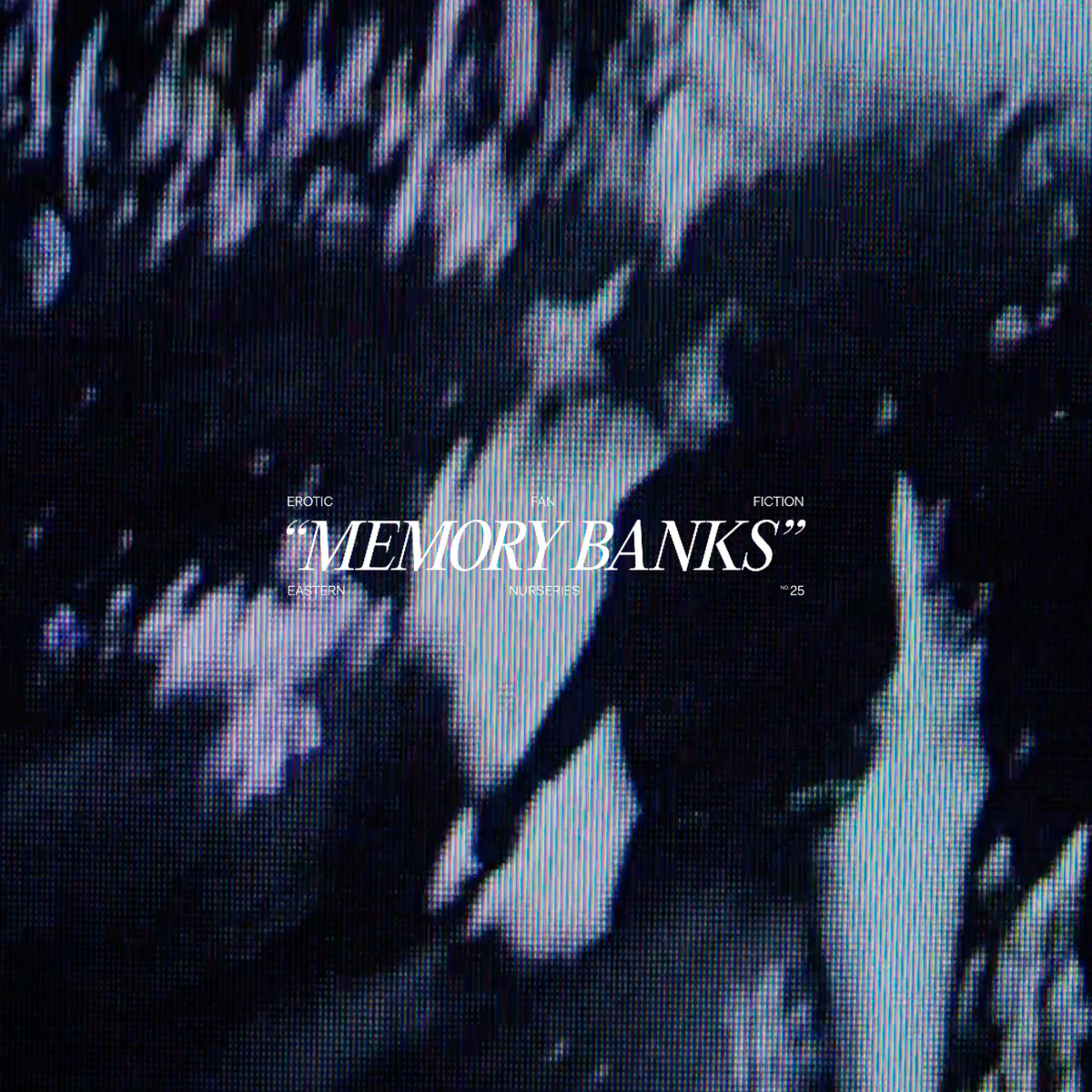 Memory Banks | Erotic Fan Fiction | Eastern Nurseries