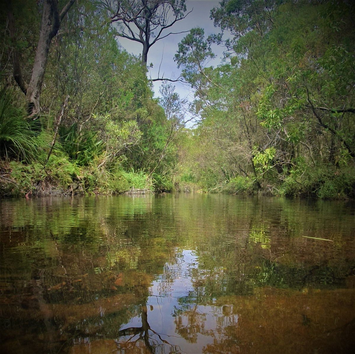 Yelgun Track | Tay Hikes