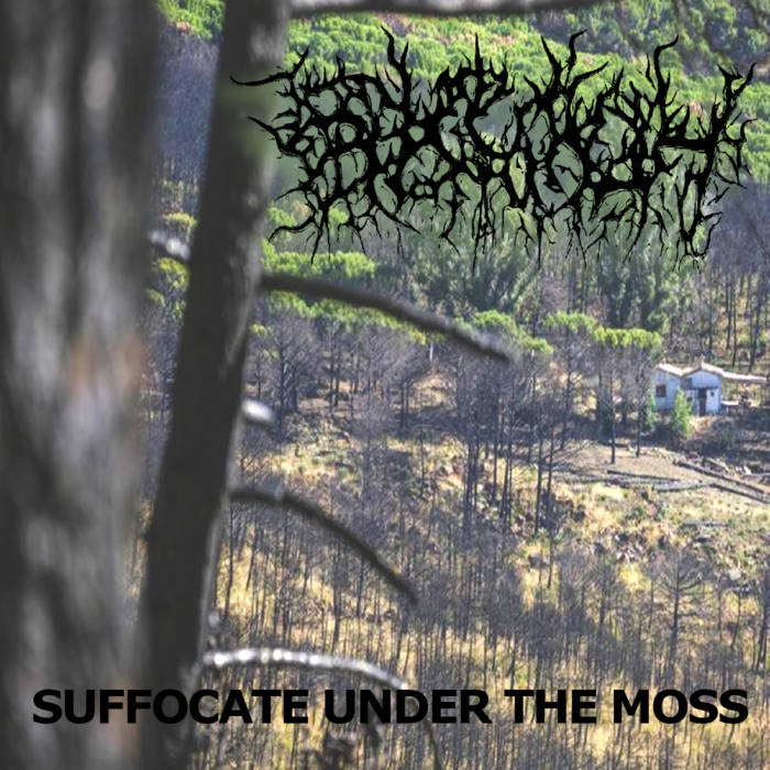 Suffocate Under the Moss | BLEACH MILK