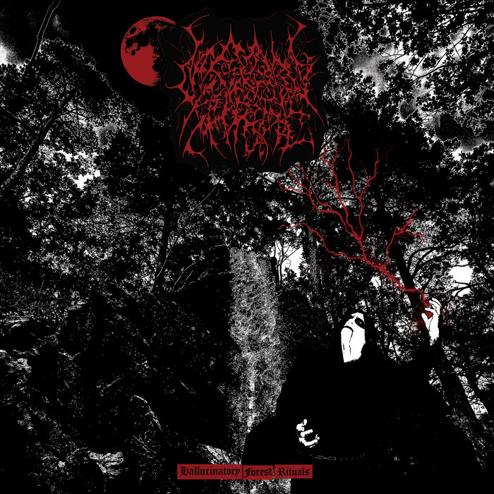 Hallucinatory Forest Rituals | Moonshrine