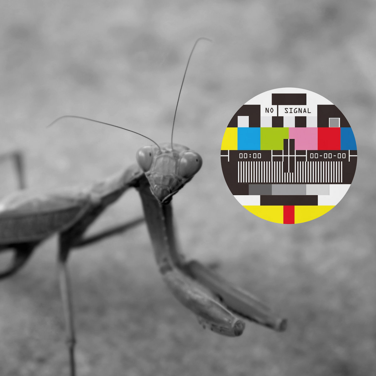 No Signal | I WORK IN COMMUNICATIONS | Dave De Rose