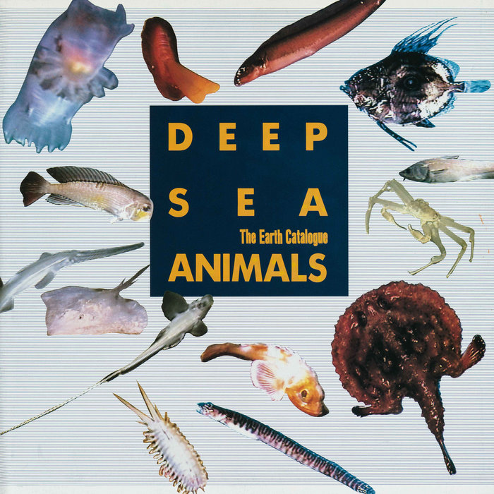 DEEP SEA ANIMALS LASERDISC SOUNDTRACK | Deep Sea Animals | PACIFIC CITY ...