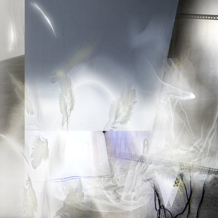 Ornamental Works | EMILY GLASS