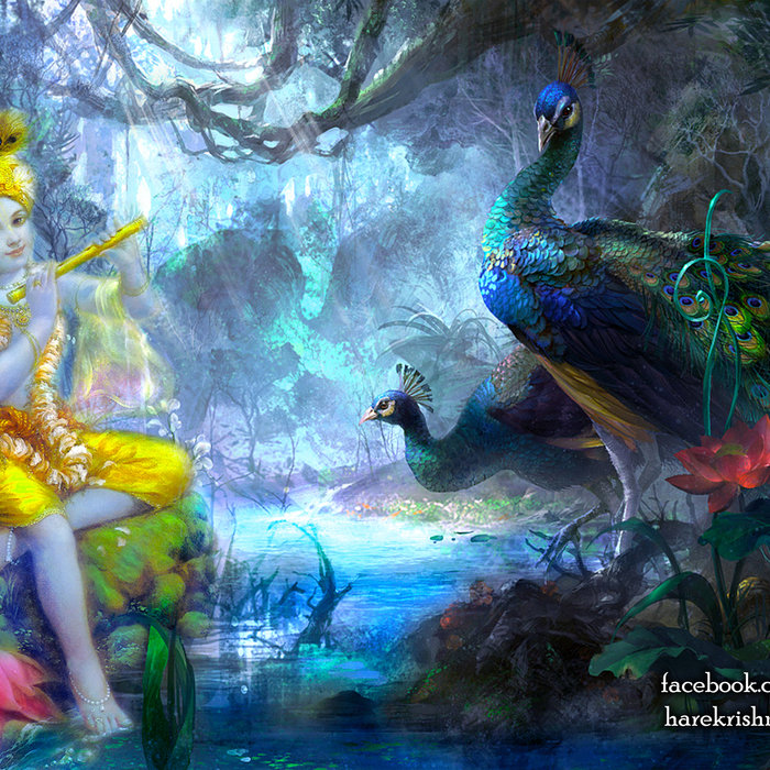 Mystical Vision Soundscapes | INfinity Music