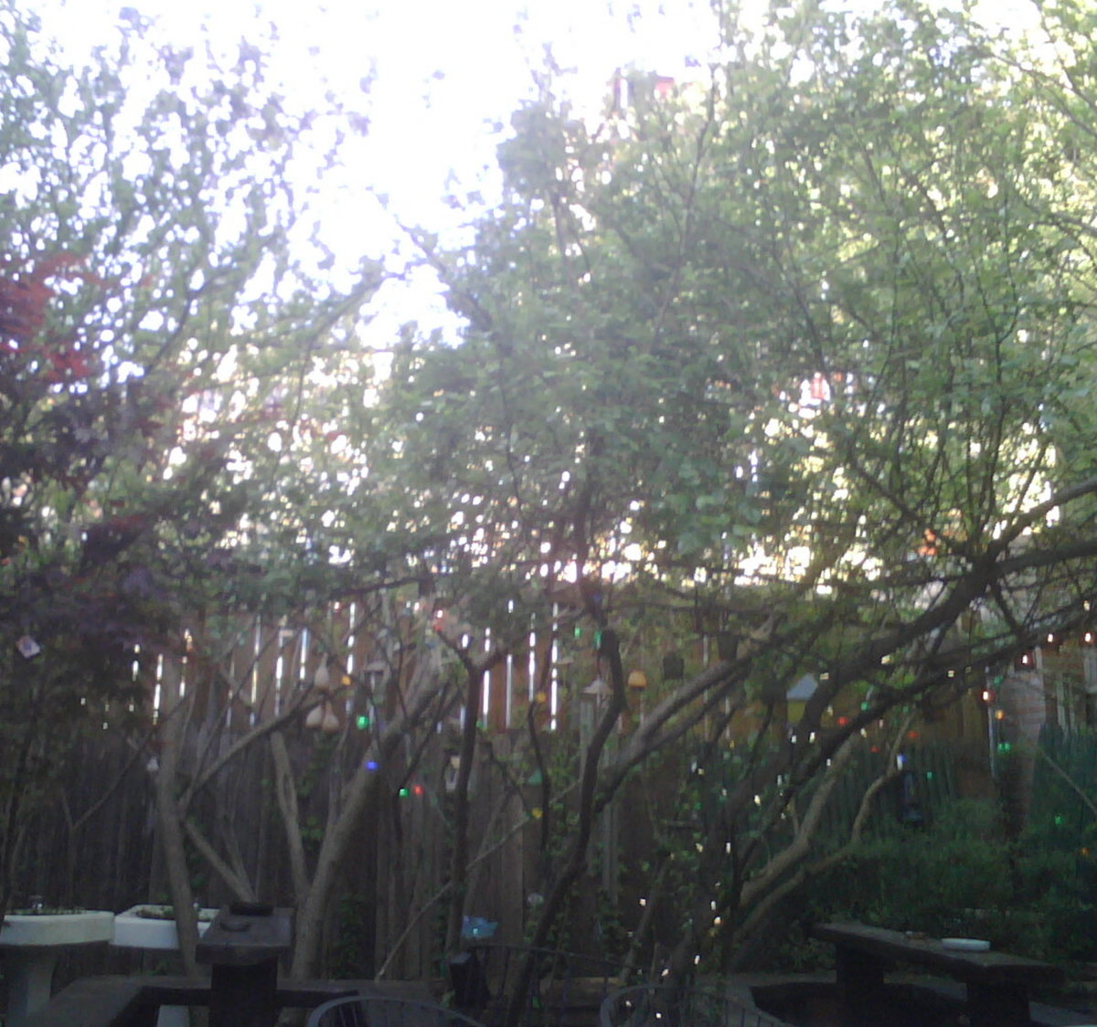 Two In One Summer | Jason Mears & Bradley Schirmer | White Horse Recording