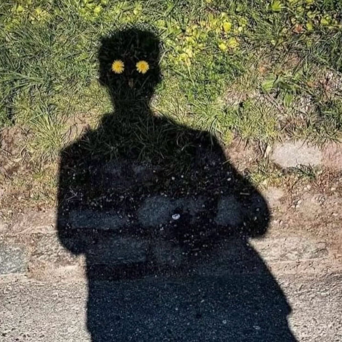 golden eye | BOOG BARKA