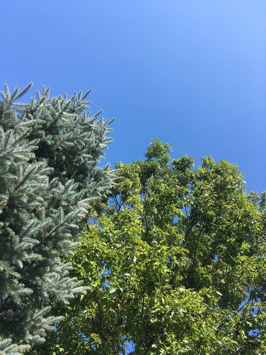 Edits 2024 | Derek Neal