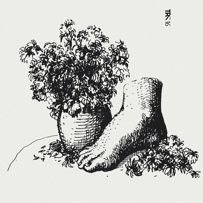 PANG! | The Bridge Sessions