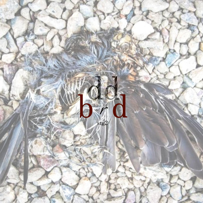 stg2 | dd brd