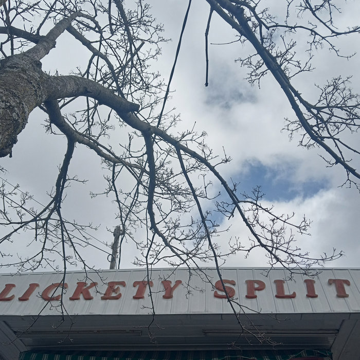Lickety Split | Suzanne, a love