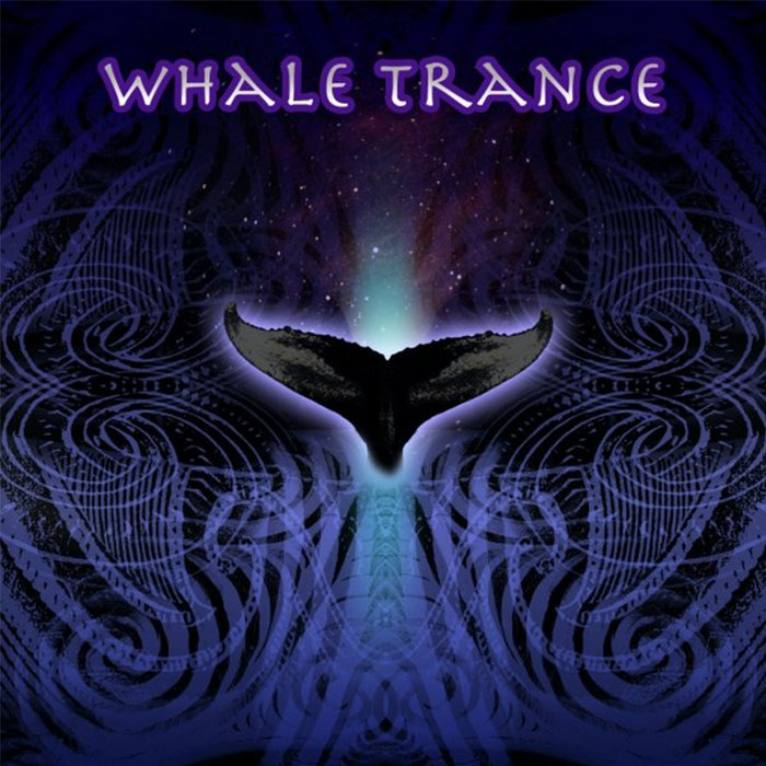 Whale Trance | Sam David and Amber Monaghan | Sam David