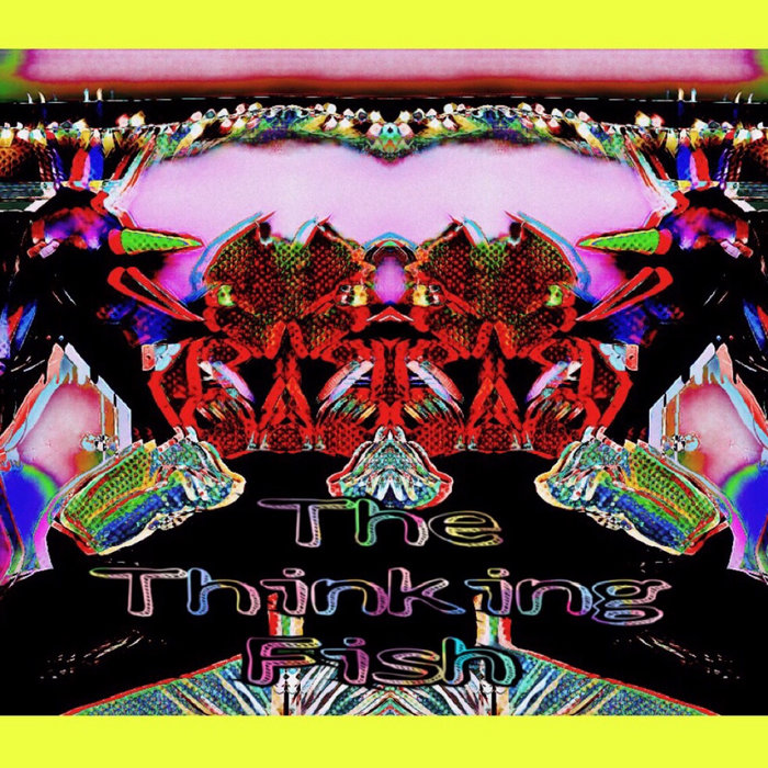 Demo 2017 | The Thinking Fish