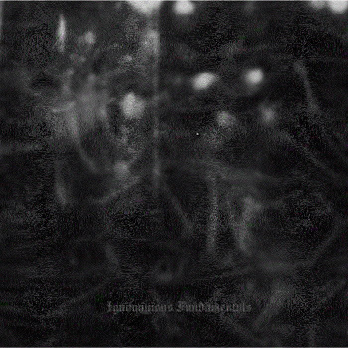 Ignominious Fundamentals | DARK OPUS | ARS LONGA VITA BREVIS